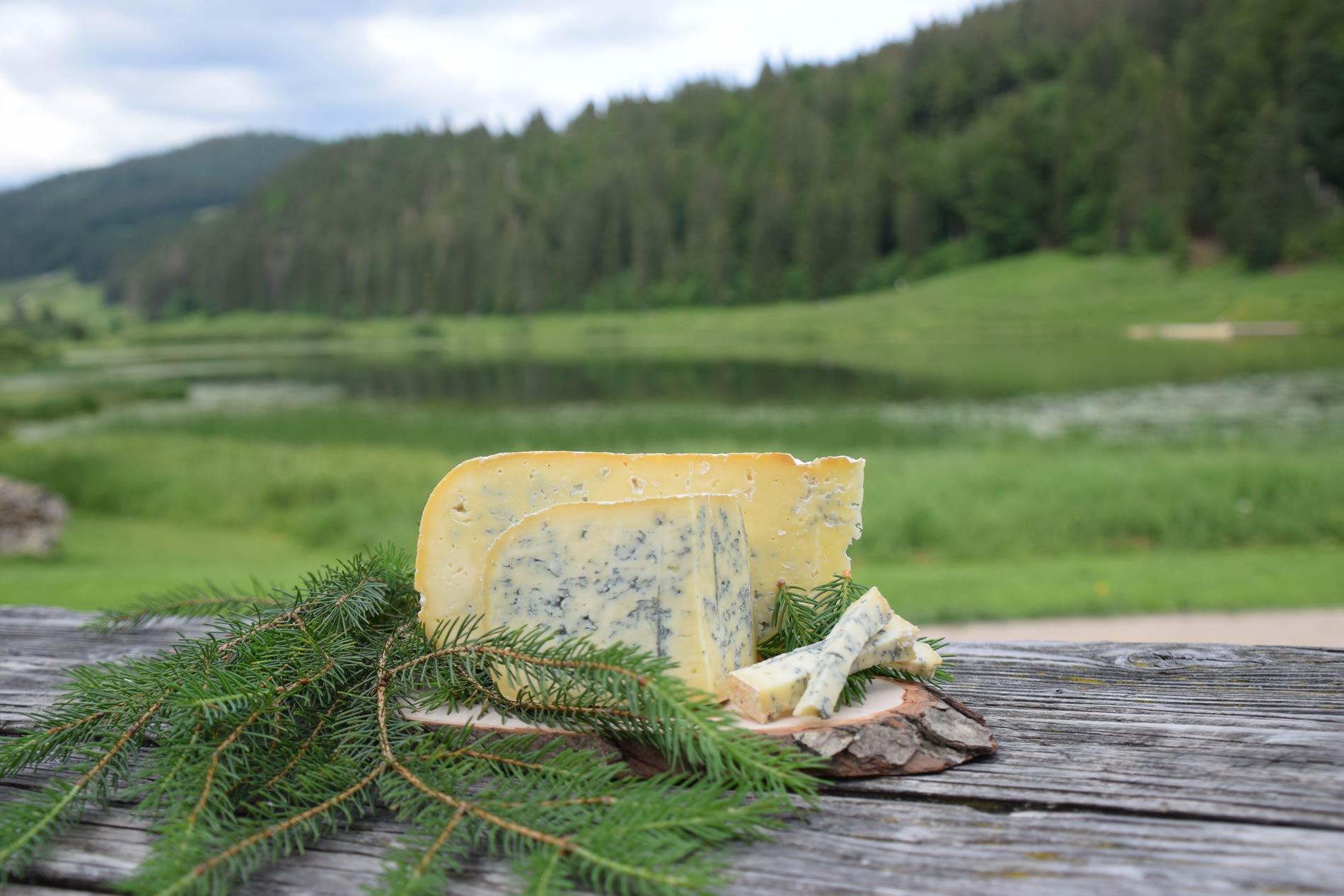 Documents officiels - Bleu de Gex